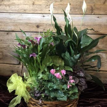 DESIGN N BLOOM - Updated July 2025 - 48 Photos & 39 Reviews - 4157 ...