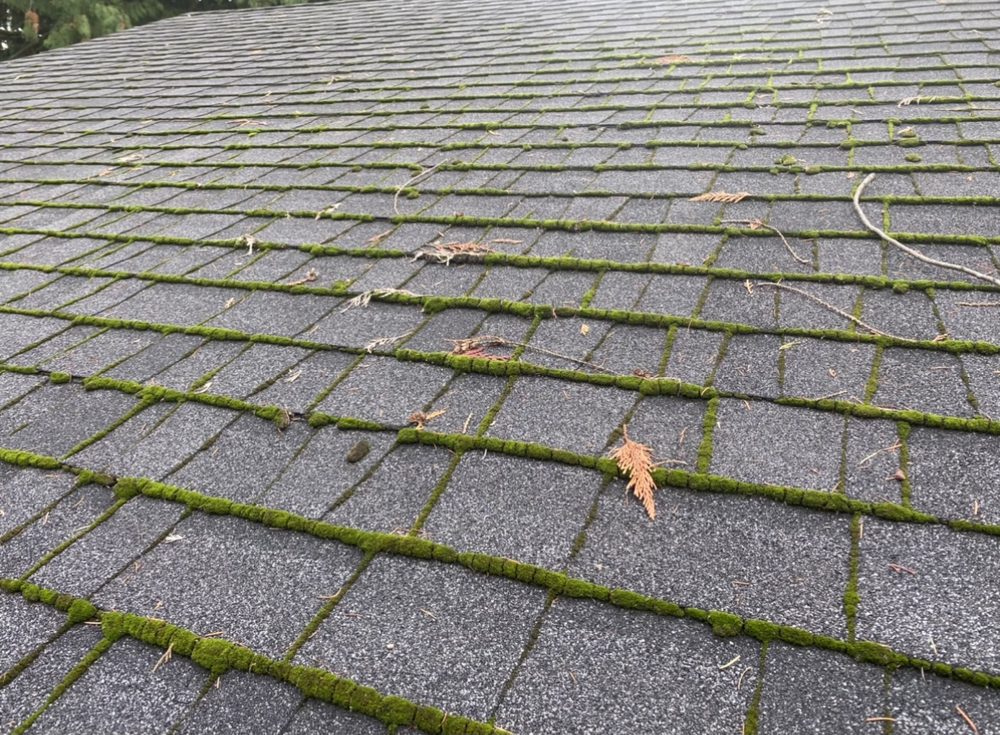 CLEAN PRO MOSS - Updated December 2025 - 67 Photos - 5107 N Highland St ...