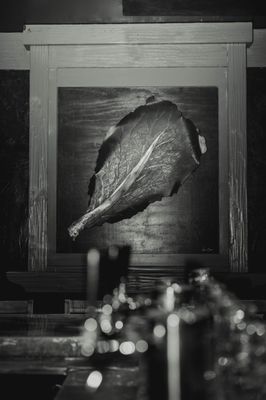 TREVISO - Updated January 2026 - 24 Wales St, Rutland, Vermont ...