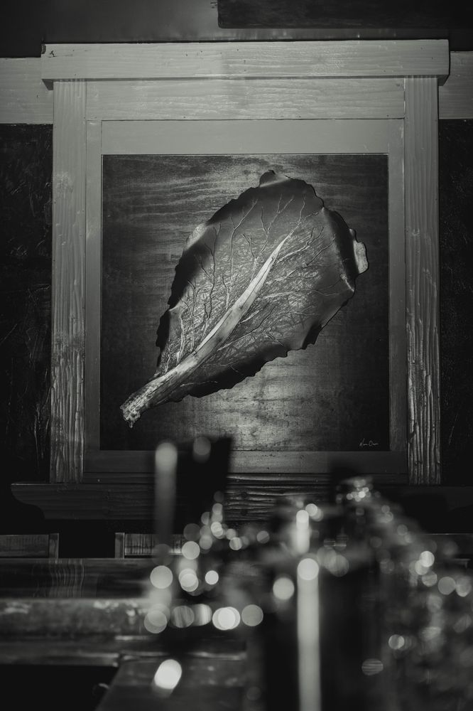 TREVISO - Updated September 2025 - 24 Wales St, Rutland, Vermont ...