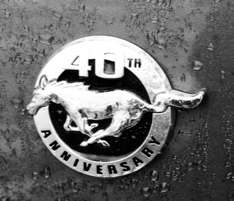 PIERRE FORD OF LYNNWOOD - Updated January 2026 - 190 Photos & 654 ...