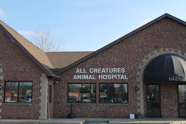 ALL CREATURES ANIMAL HOSPITAL - 24 Photos & 55 Reviews - 6429 Transit ...