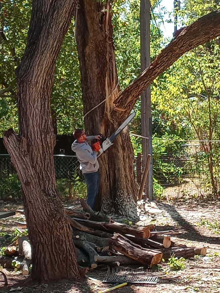 CONQUER TREE SERVICE - Updated October 2025 - Wichita, Kansas - Tree ...