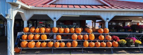 MILLER FARMS - Updated December 2025 - 313 Photos & 234 Reviews - 10140 ...