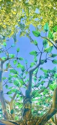 CLEARBROOK LIBRARY - Updated December 2025 - 15 Photos - 32320 George ...