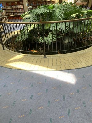 PALM SPRINGS PUBLIC LIBRARY - Updated December 2025 - 71 Photos & 30 ...