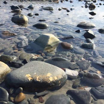 NANTASKET BEACH - Updated November 2024 - 189 Photos & 114 Reviews ...