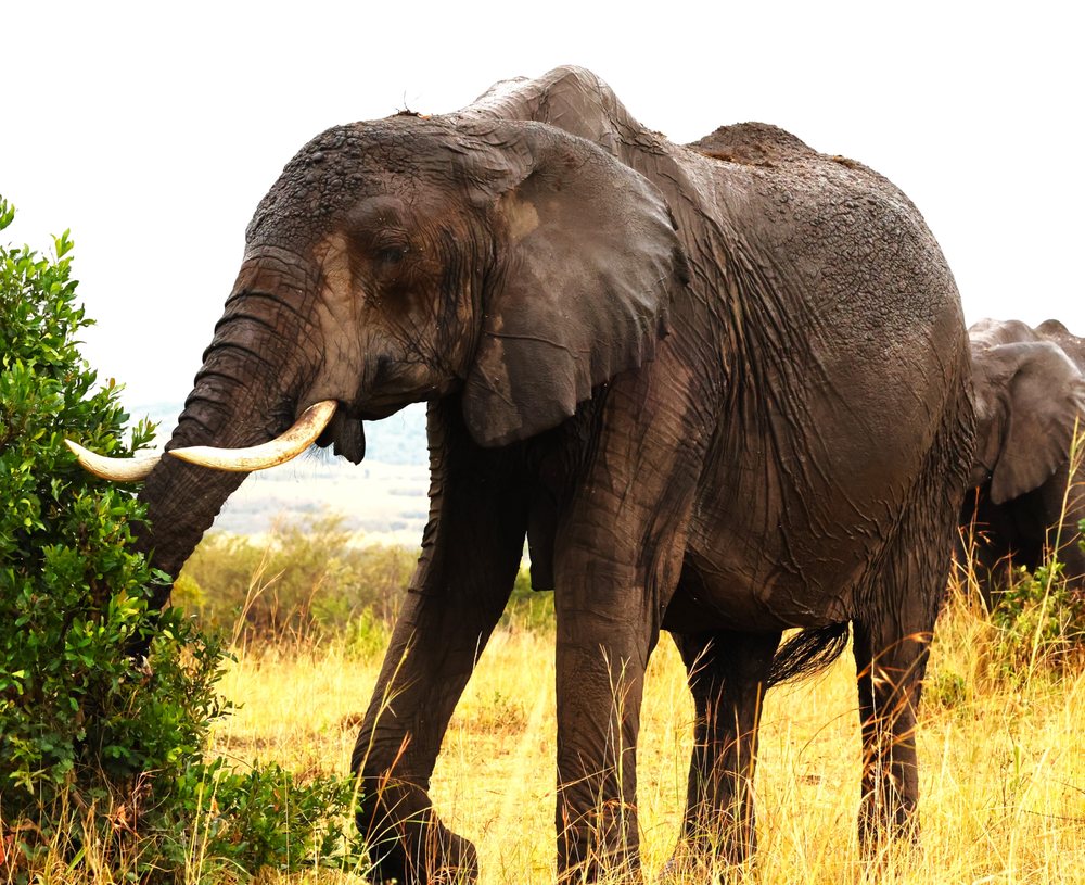 ONE TOAD PHOTOGRAPHY - Updated January 2026 - Request a Quote - 24 ...