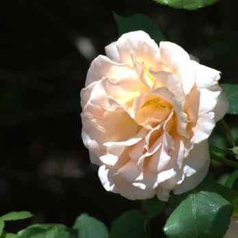 TONY HILLERMAN LIBRARY - Updated October 2025 - 83 Photos & 12 Reviews ...