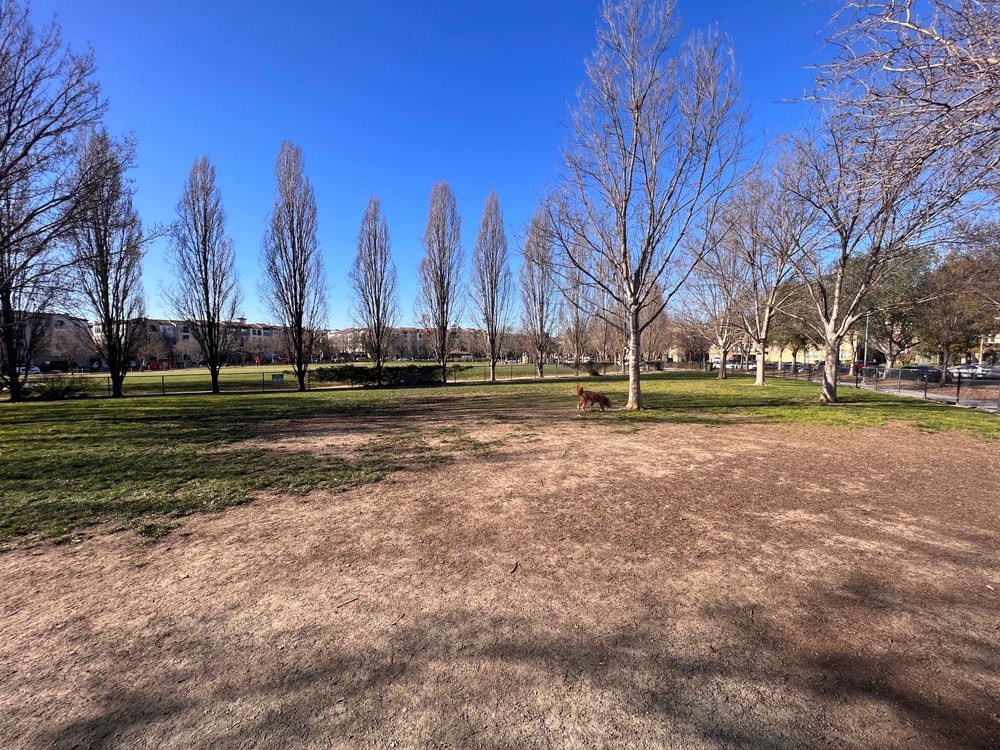 BRAY COMMONS PARK - Updated July 2025 - 16 Photos & 27 Reviews - Keegan ...