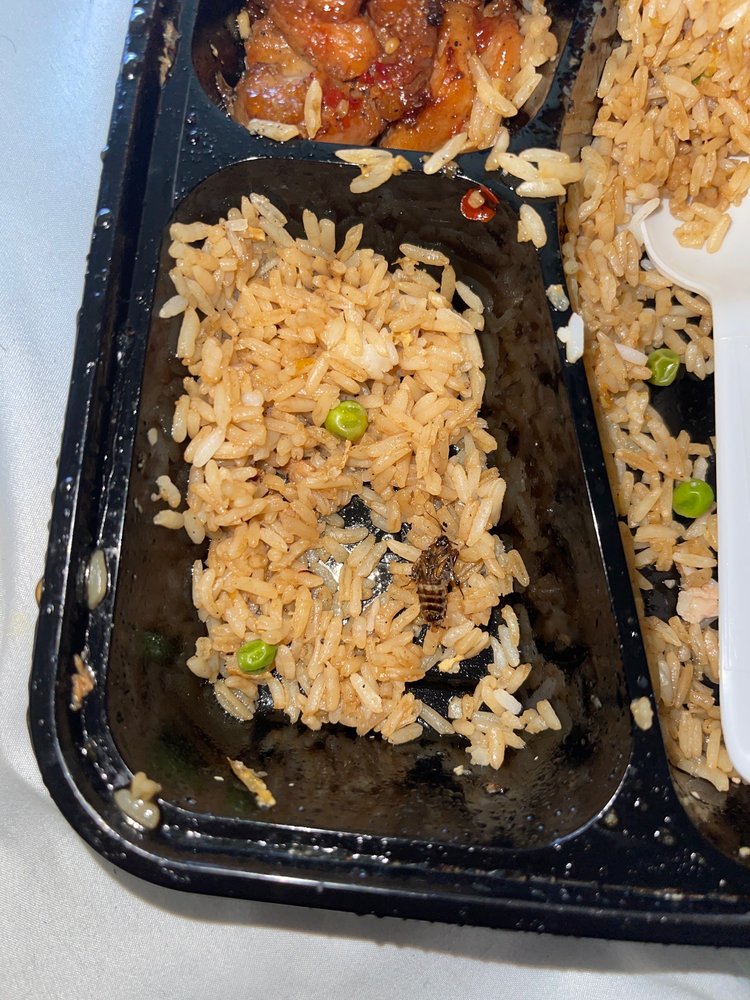 MANDARIN EXPRESS - 61 Photos & 18 Reviews - 10300 Southside Blvd ...