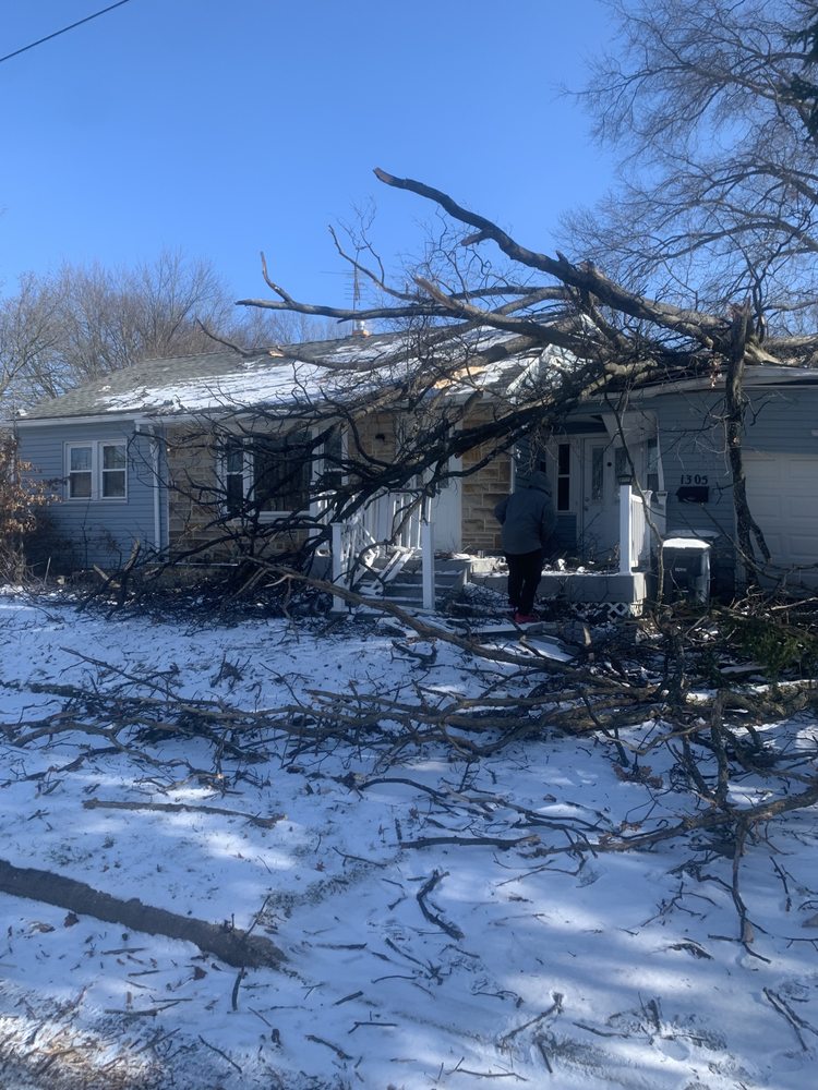 LEGENDS TREE SERVICE - Updated March 2025 - 18 Photos - Euclid, Ohio ...