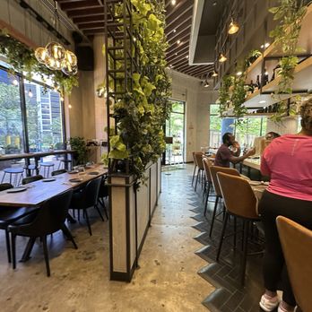 JAVA NATION - SILVER SPRING - Updated October 2025 - 299 Photos & 154 ...