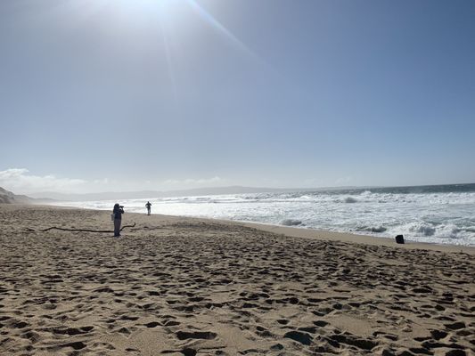 FORT ORD DUNES STATE PARK - Updated February 2025 - 278 Photos & 47 ...