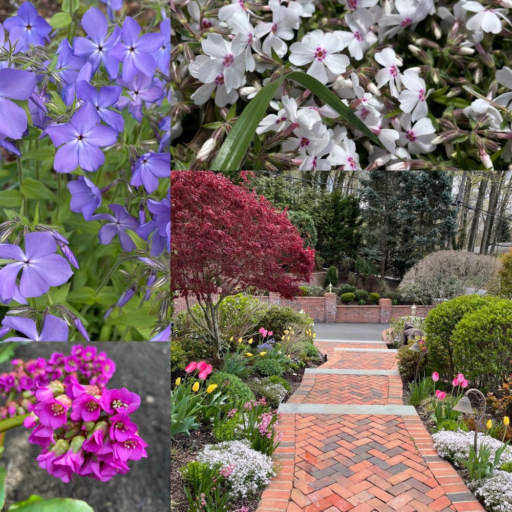 GARDENS BY RACHEL - Updated October 2025 - 2903 Preston Ln, Merrick ...