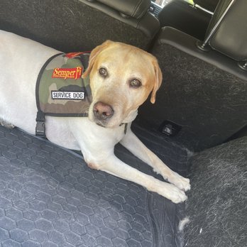 SANDTOWN PUB - Updated January 2026 - 66 Photos & 159 Reviews - 5819 ...