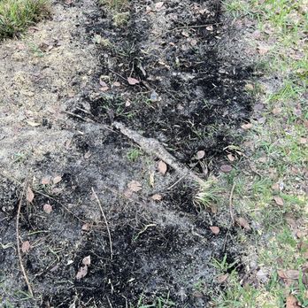 WAVE LANDSCAPING & DESIGN - Updated July 2024 - 68 Photos - Palm Beach ...