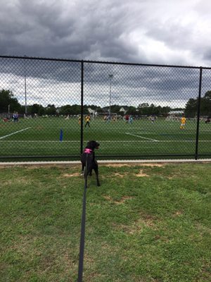 PARRISH WOMBLE PARK - Updated December 2025 - 36 Photos - 1201 Grigsby ...