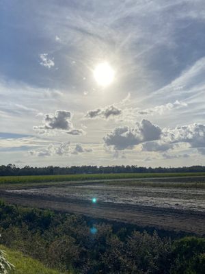 WESLEY WELLS FARM - Updated October 2025 - 108 Photos & 12 Reviews ...