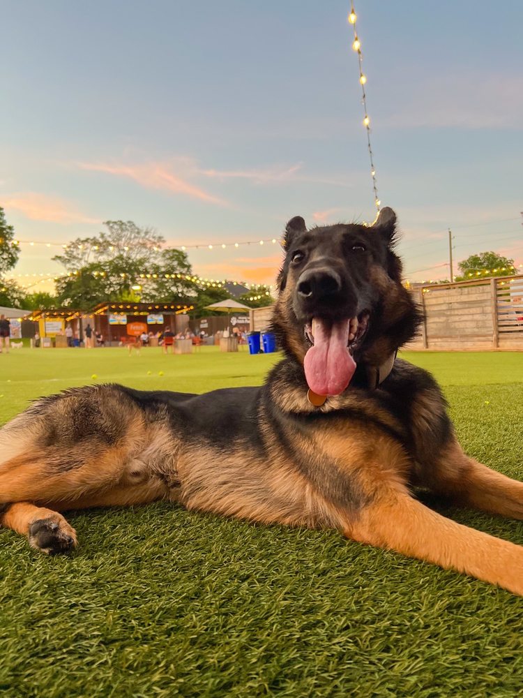 FETCH PARK - Updated October 2025 - 262 Photos & 195 Reviews - 520 ...