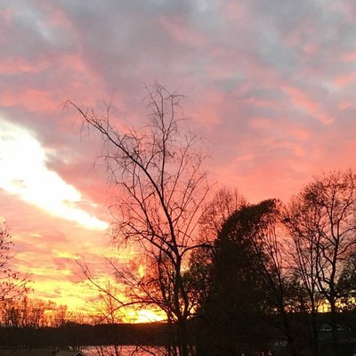 ROSE CRAMER - LAKE NORMAN REALTY - Updated March 2025 - 12 Photos ...