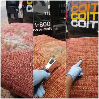 COIT CLEANING AND RESTORATION - Updated September 2025 - 87 Photos & 63 ...