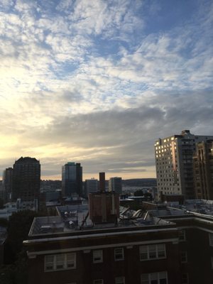 VIRGINIA MASON MEDICAL CENTER - Updated January 2026 - 48 Photos & 312 ...