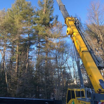 NEW ENGLAND TREE MASTERS - Updated July 2024 - 53 Photos & 46 Reviews ...