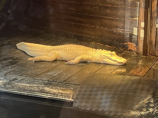 GATOR BEACH - 50 Photos & 24 Reviews - Amusement Parks - 20001 Emerald ...