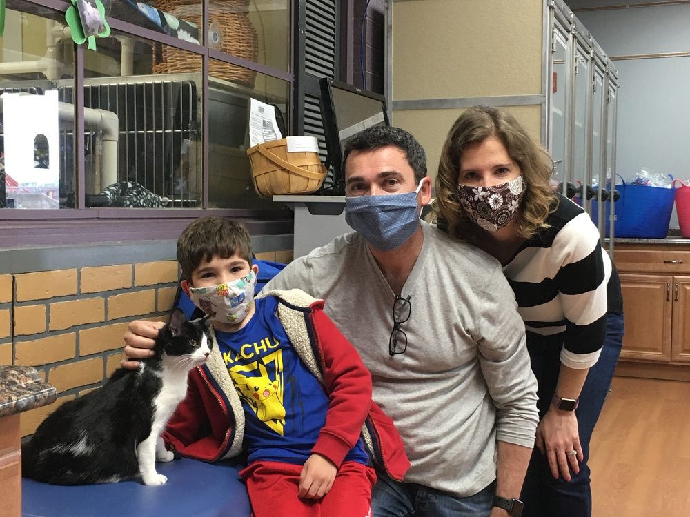 DUPAGE COUNTY ANIMAL SERVICES - Updated May 2024 - 12 Photos & 38 ...