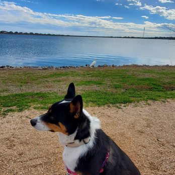 LAKE PFLUGERVILLE - Updated December 2025 - 246 Photos & 92 Reviews ...