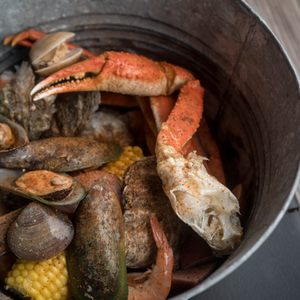 ON THE HALF SHELL - Updated April 2025 - 66 Photos & 124 Reviews - 4500 ...