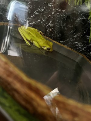 BACKWATER REPTILES - 14 Photos & 10 Reviews - 5406 Crossings Dr ...