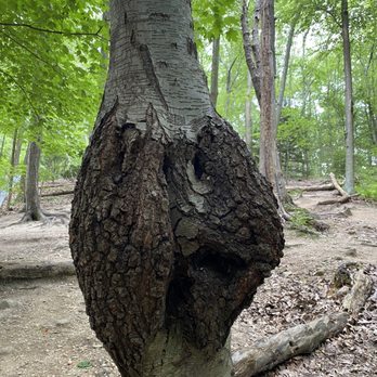 COLD SPRING HARBOR STATE PARK - Updated November 2024 - 252 Photos & 66 ...