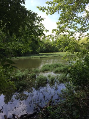 SPRINGFIELD CONSERVATION NATURE CENTER - Updated June 2024 - 35 Photos ...