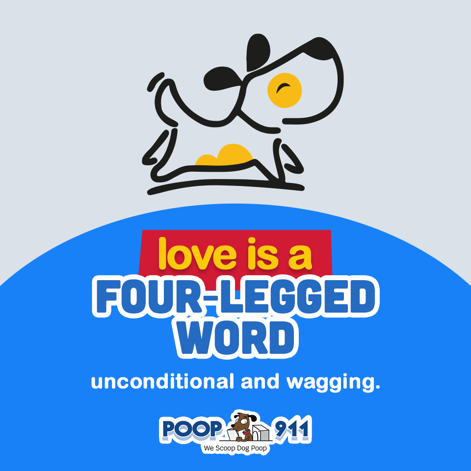 POOP 911 - Updated January 2025 - Request a Quote - 10 Photos - Daytona ...