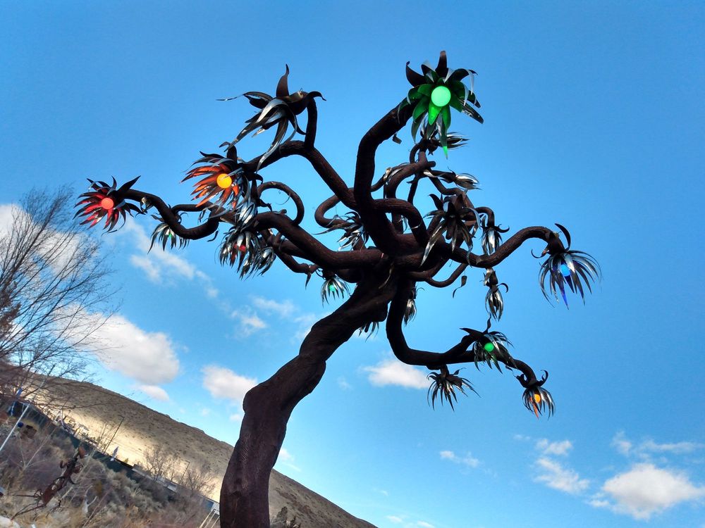 RIVER SCHOOL FARM - 28 Photos - 7777 White Fir St, Reno, NV - Yelp