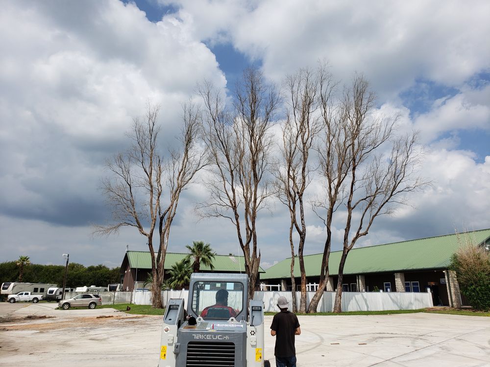 GARNER TREE SERVICE - Updated July 2025 - Request Consultation - 35 ...