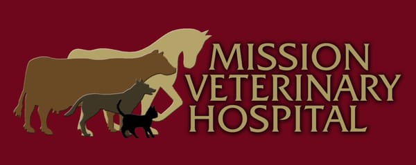MISSION VETERINARY HOSPITAL - Updated May 2026 - 26 Photos & 21 Reviews ...