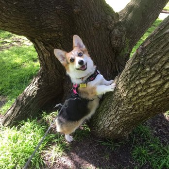 LOVE ANIMAL HOSPITAL AND URGENT CARE - Updated January 2025 - 23 Photos ...