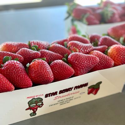 STARBERRY FARMS - Updated August 2025 - 134 Photos & 92 Reviews - 264 E ...