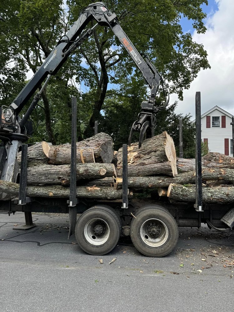 MORRISON TREE & LANDSCAPE SERVICES - Updated November 2025 - Townsend ...