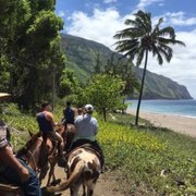 MOLOKAI MULE RIDE - 33 Photos & 30 Reviews - 100 Kalae Hwy, Kualapuu ...
