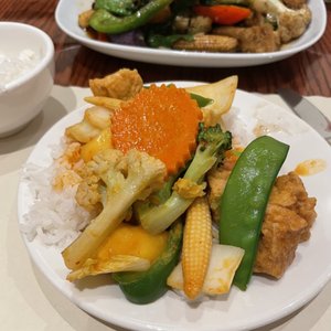 SIAM HOUSE THAI RESTAURANT - 184 Photos & 492 Reviews - 3520 ...