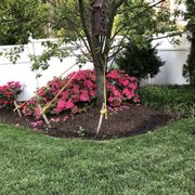 PIAZZA DI ROMA - 56 Photos & 27 Reviews - Venues & Event Spaces - 1178 ...