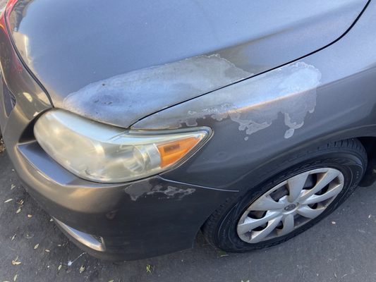 MAACO AUTO BODY SHOP & PAINTING - Updated June 2024 - 141 Photos & 109 ...