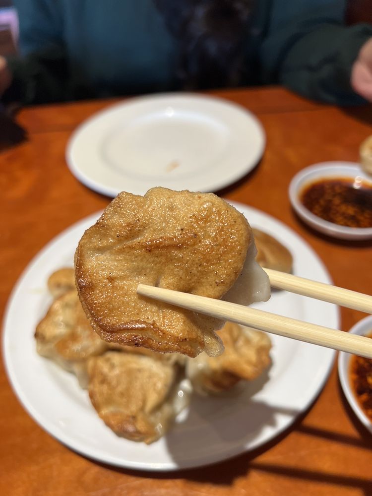 DUMPLING QUEEN - 579 Photos & 388 Reviews - 13942 Metrotech Dr ...