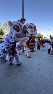 TU CHA - Updated April 2025 - 162 Photos & 56 Reviews - 2968 W 7th St ...