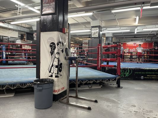 GLEASON’S GYM - Updated July 2024 - 54 Photos & 33 Reviews - 130 Water ...