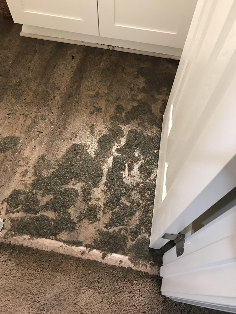 EXCALIBUR HOMES - Updated May 2025 - 83 Photos & 231 Reviews - 2855 ...